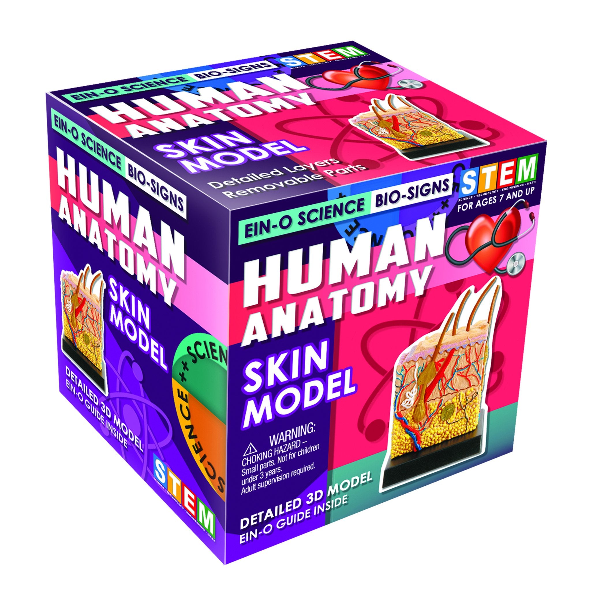 SKIN MODEL – COG Ltd