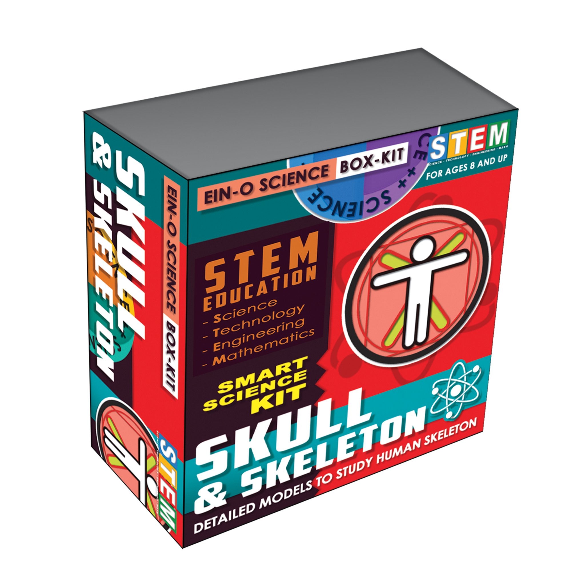 SKULL & SKELETON – COG Ltd