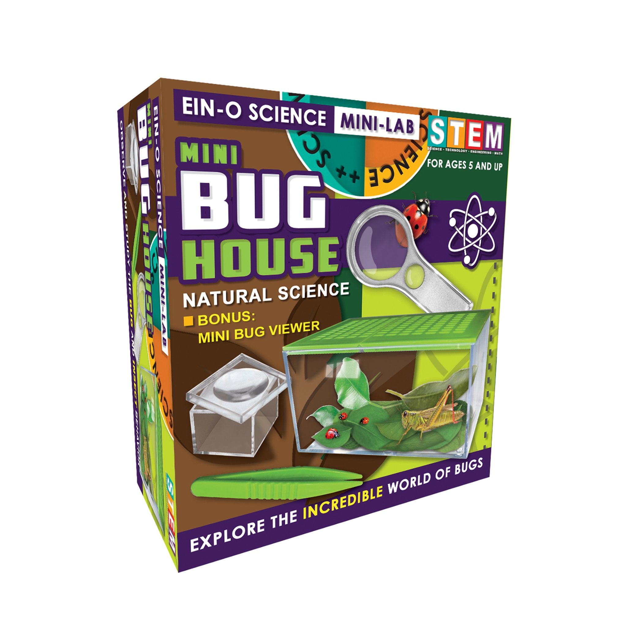 MINI BUG HOUSE – COG Ltd